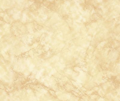 China marble color prepainted Steel Coil for sale