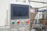 China Horizontal Side Load Carton Case Packer Machine Automatic Horizontal for sale
