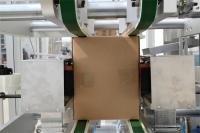 China Horizontal Side Load Carton Case Packer Machine Automatic Horizontal for sale