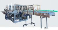 China Wrap Around Carton Case Packer Machine Hot Melt Glue 20 Cases/Min Pouch for sale