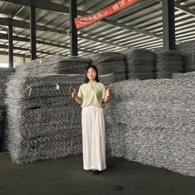 China Water Proof Hot Dipped Galvanized Gabion box wall for River Flood Protection for sale