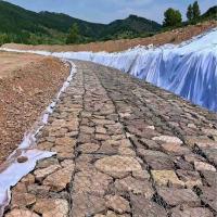 China High Strength Woven Gabion Mesh ASTM Certified Hexagonal Grid Design For Slope Protection Drainage for sale