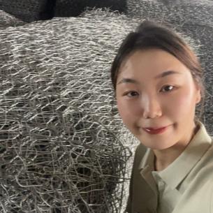 China Heavy Galvanized Gabion Box Wire Mesh 2m Length Anti Rust Woven Hexagonal Mesh Style for sale