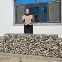 China Heacy Zinc Coated Gabion Planters Customized Sizes Gabion Plant Boxes for sale