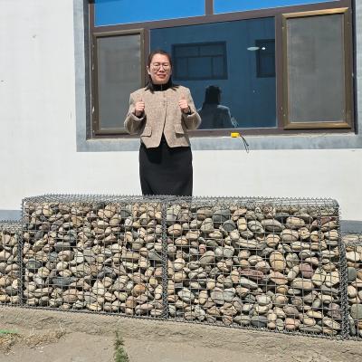 China Heacy Zinc Coated Gabion Planters Customized Sizes Gabion Plant Boxes for sale