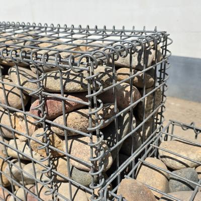 China 5x5cm 5x10cm Wire Mesh Gabion Planters Gabion Basket Planter for Stylish Gardens for sale
