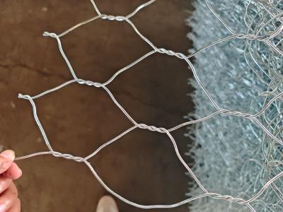 China Economical Galvanized/PVC Coated 100mmx120mm Hexagonal Woven Gabion Basket For Landscaping for sale