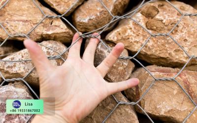 China Wholesale 80x100mm Galfan Galvanized PVC Crimped Woven Gabion Basket Box for Slope Protection for sale