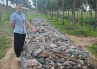 China Heavy Duty Hexagonal Gabion Wall for Slope Protection River Bank Stabilization for sale