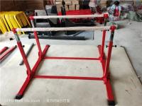 China Customized Logo Availabled Mai Dong Gymnastic Training Bar for Gymnastic Parallel Bars for sale