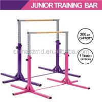 China Children Gym Ladder Steel Pipe 4m*0.8m*2m Monkey Bar for Outdoor and Indoor Exercise for sale