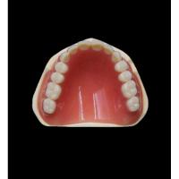 China Custom Heat Cure Acrylic Denture Base Biocompatible Dental Acrylic Resin 1 Piece for sale