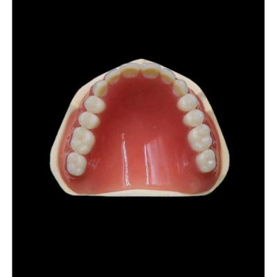China Custom Heat Cure Acrylic Denture Base Biocompatible Dental Acrylic Resin 1 Piece for sale