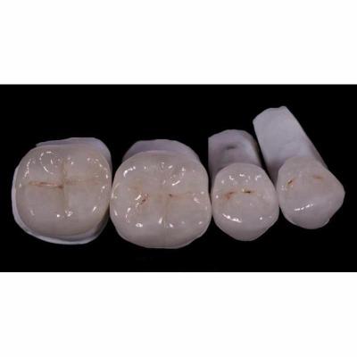 China Durable Composite Dental Crown for Die Preparation and Pontic Restoration 16mm for sale