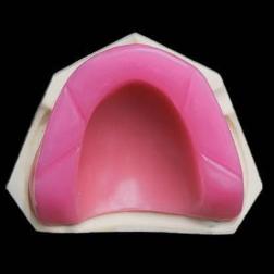 China Dental Wax Rim Soft Moldable 2mm-3mm Thickness for Occlusal Recording Bite Registration for sale