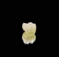 China Dental Lab Zirconia Veneering Porcelain Full VITA Shade Compatibility 10.5 CTE for sale