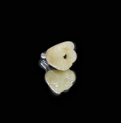 China Prosthodontics Dental Implant System Screw Retained Cement Retained CP Titanium Internal Connection for sale