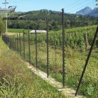China Powder Coated Holland Welded Euro Fence With PVC Powders Dipped Coating for sale