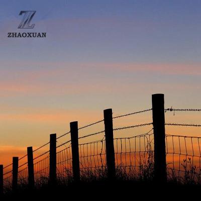 China Galvanized Barbed Wire Coil 0.4mm-0.6mm Thick For Prison Fencing for sale