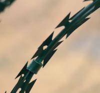 China 0.5mm 0.6mm Thick Razor Barbed Wire Galvanized Surface Treatment for sale