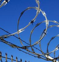 China 0.5mm 0.6mm Thick Razor Barbed Wire Galvanized Surface Treatment for sale