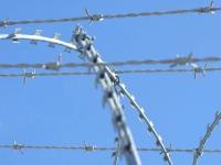 China High Security Hot Galvanized Razor Barbed Wire with Single / Cross Coil for sale