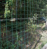 China Customized Size Euro Style Fence Wire Mesh PVC Coated For Garden for sale