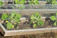 China 1/4 Inch Galvanized Welded Wire Mesh Roll for Garden Farm Cage for sale