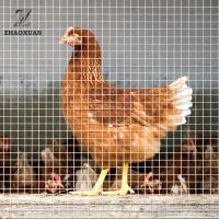 China 1/4 Inch Galvanized Welded Wire Mesh Roll for Garden Farm Cage for sale