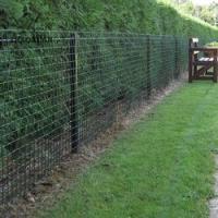 China 868 656 Double Wire Mesh Fencing Galvanized Powder Coated Steel Mesh Panels for sale