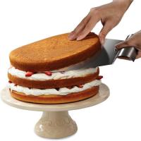 China Stainless Steel Baking Tools Transfer Cake Tray Silver Color for sale
