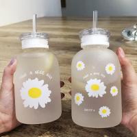 China 480ml Borosilicate Glass Water Bottle with Scale Portable Transparent Cup 2 Lids for sale