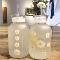 China 480ml Borosilicate Glass Water Bottle with Scale Portable Transparent Cup 2 Lids for sale