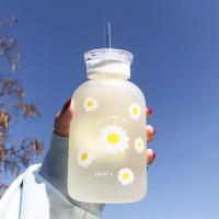 China 480ml Borosilicate Glass Water Bottle with Scale Portable Transparent Cup 2 Lids for sale