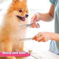 China 6 in 1 Stainless Steel Dog Grooming Scissors Kit with Safety Round Tips 4CR for sale