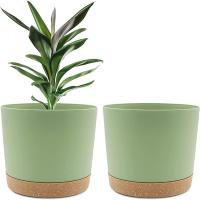 China Plastic Green Plant Pots 6 Inch with Drainage Holes and Removable Base for Indoor Plants for sale