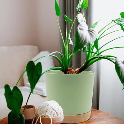 China Plastic Green Plant Pots 6 Inch with Drainage Holes and Removable Base for Indoor Plants for sale