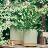 China Plastic Green Plant Pots 6 Inch with Drainage Holes and Removable Base for Indoor Plants for sale