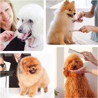 China Stainless Steel Pet Grooming Comb Poodle Finishing Butter Comb for Cats Dogs 2 Size Options for sale