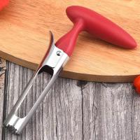 China Stainless Steel Apple Corer Remover 18x9.7x2.5cm Ergonomic Handle for sale