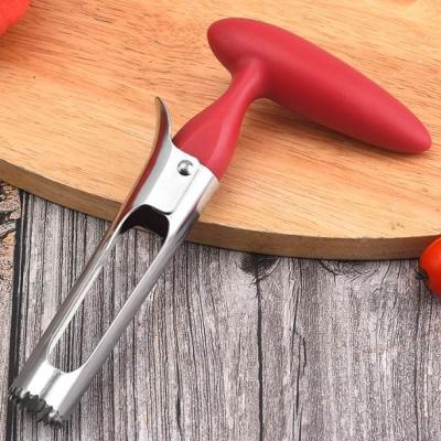 China Stainless Steel Apple Corer Remover 18x9.7x2.5cm Ergonomic Handle for sale