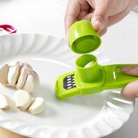 China Kitchen Utensils Mini Grinding Garlic Grater Multi Functional for sale
