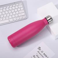 China 500ml 304 Stainless Steel Vacuum Insulated Sports Water Bottle Custom Logo for sale