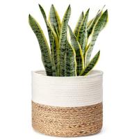 China Cotton Rope Plant Basket Woven Flower Pot Floor Indoor Planter 10 12 Inch Home Decor for sale