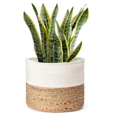 China Cotton Rope Plant Basket Woven Flower Pot Floor Indoor Planter 10 12 Inch Home Decor for sale
