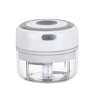 China Mini Electric Chopper 250ML USB Rechargeable Portable Food Chopper 30W for sale