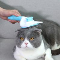 China Custom Stainless Steel Pet Hair Remover Brush for Dog Cat with 60 Degree Bent Bristles for sale