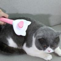 China Custom Stainless Steel Pet Hair Remover Brush for Dog Cat with 60 Degree Bent Bristles for sale