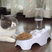 China Plastic Double Pet Food Bowl Set with Automatic Waterer Bottle 17oz 15 Degree Tilt for sale
