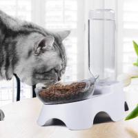 China Plastic Double Pet Food Bowl Set with Automatic Waterer Bottle 17oz 15 Degree Tilt for sale